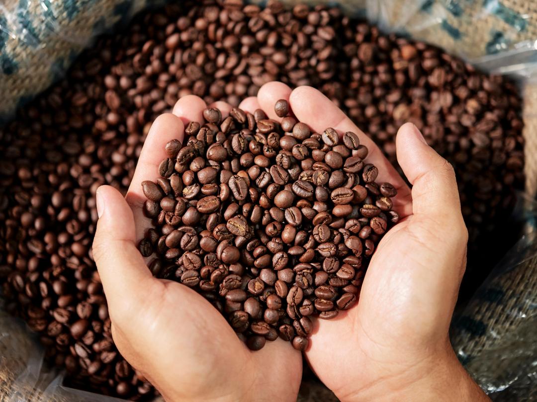 How Coffee is Grown: A Journey Through Climate, Soil and Sustainability ...